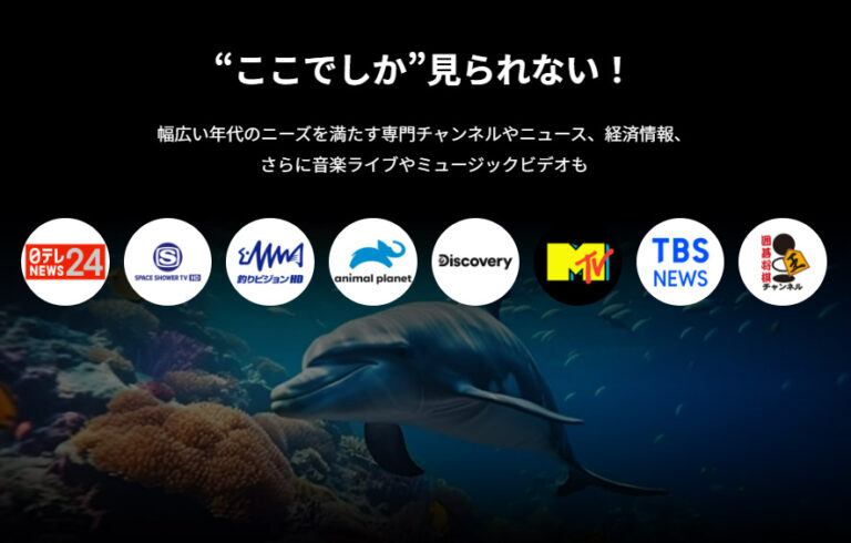 【JCOM】シン・スタンダードのメリット・デメリット徹底解説｜Paramount＋・月額料金・お得な申込方法 - ひかりの窓口